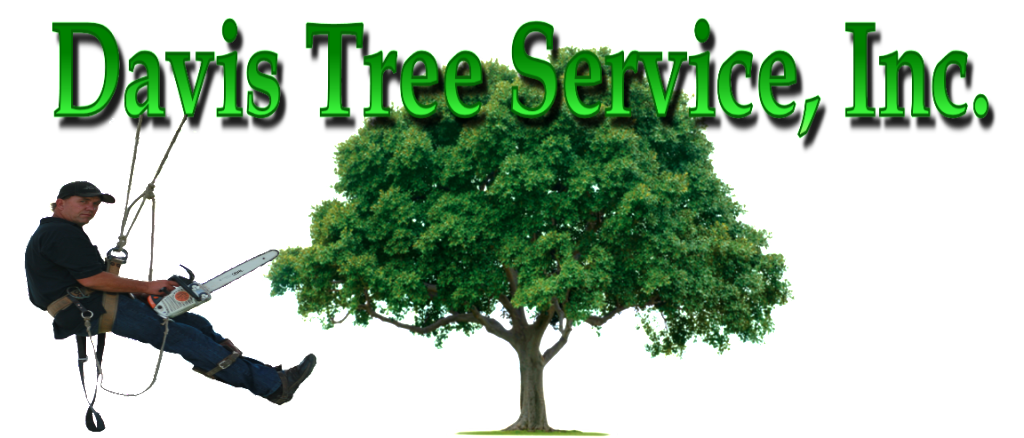 Logo—1 – Davis Tree Service