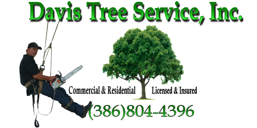 About Me – Davis Tree Service