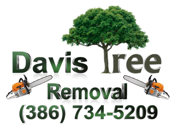 Davis Tree Removal – Davis Tree Service