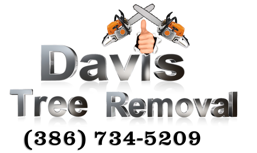 Tree Removal – Davis Tree Service