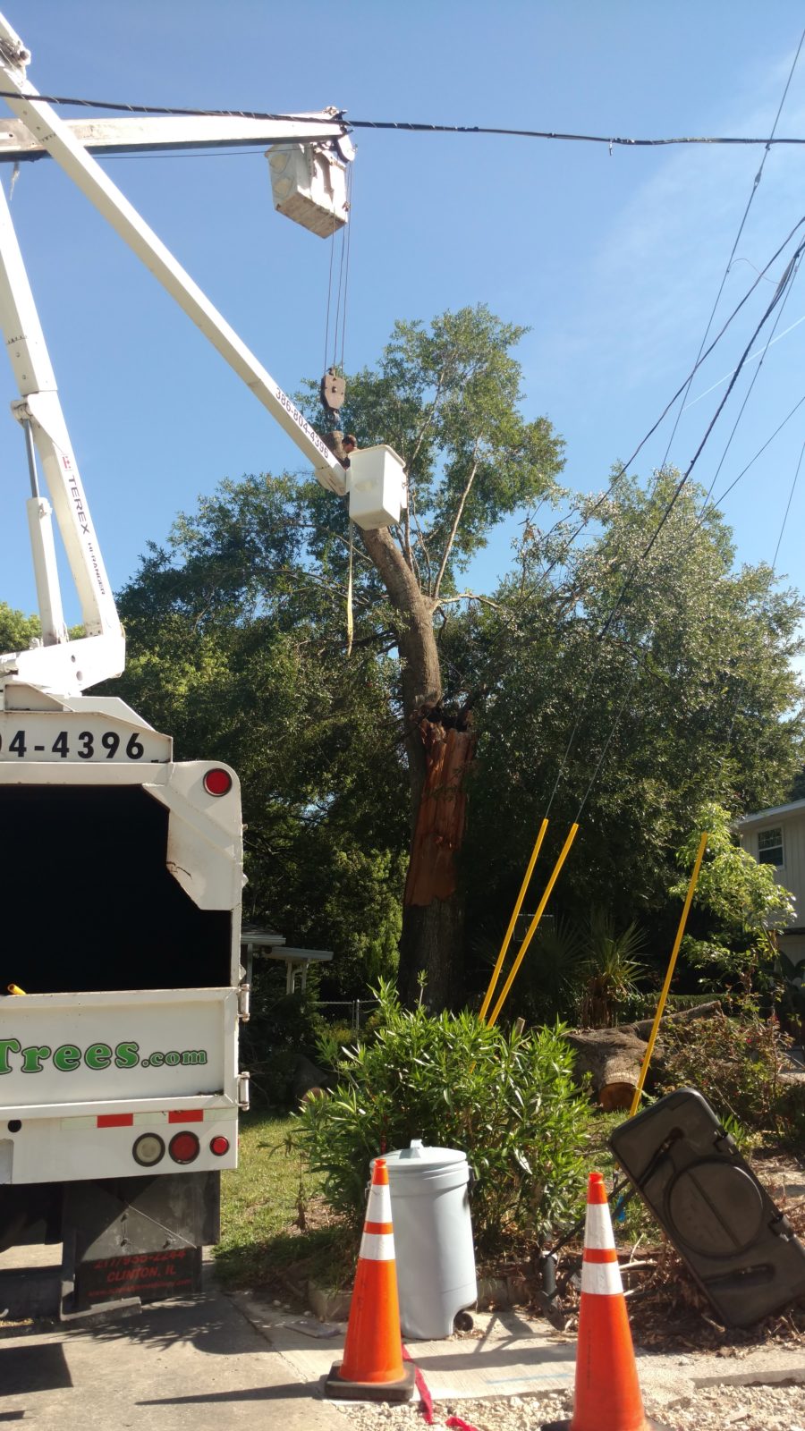 Video’s – Davis Tree Service